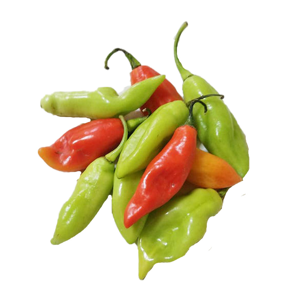 The Pimento Pepper! 🌶️🇯🇲